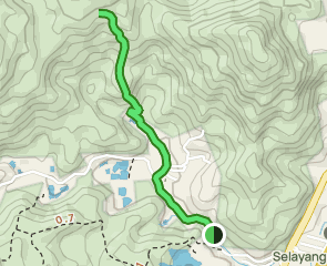 Bukit Lagong Trail: 11 Reviews, Map - Selangor, Malaysia | AllTrails