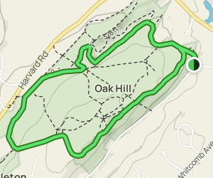 Oak Hill: 1698 Reviews, Map - Massachusetts | AllTrails
