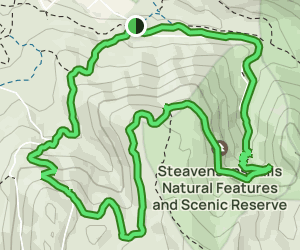 Keppel Lookout and Steavenson Falls via Tree Fern Gully Track Loop: 886 ...