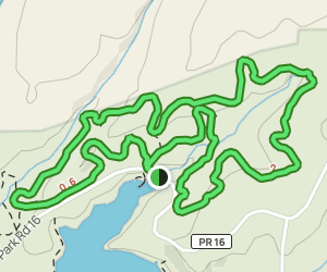 Tyler State Park C and D Loop Trail: 743 Reviews, Map - Texas | AllTrails