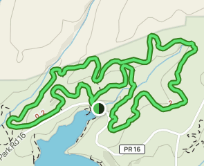 Tyler State Park C and D Loop Trail, Texas - 828 Reviews, Map | AllTrails