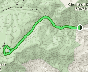 Birchfield Camp Trail, Tennessee - 52 Reviews, Map | AllTrails