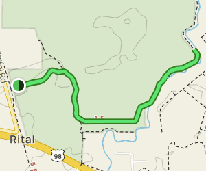 Withlacoochee River Trail: 124 Reviews, Map - Florida | AllTrails