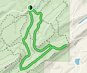 Kings Chair Loop: 1472 Reviews, Map - Alabama | AllTrails