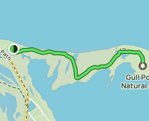 Gull Point Trail, Pennsylvania - 190 Reviews, Map | AllTrails