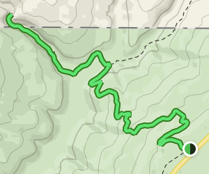 Walls of Jericho Trail: 2054 Reviews, Map - Alabama | AllTrails