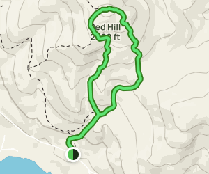 Red Hill Fire Tower Loop Trail: 1172 Reviews, Map - New Hampshire ...