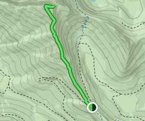 High Rock Lookout Trail: 2796 Reviews, Map - Washington | AllTrails