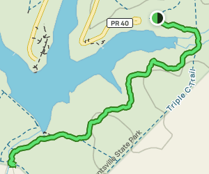 Chinquapin Trail: 131 Reviews, Map - Texas | AllTrails