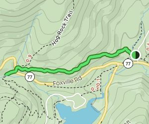 Cunningham Falls Nature Trail: 724 Reviews, Map - Maryland | AllTrails