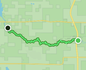 Pine River Kayak, Michigan - 22 Reviews, Map | AllTrails