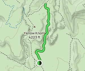Yellow Knolls Trail: 348 Reviews, Map - Utah | AllTrails