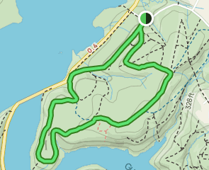 Morgan Mill Trail, Maryland - 1,339 Reviews, Map | AllTrails