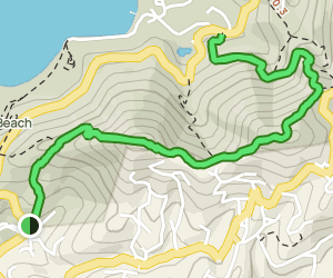 Caneel Hill Trail: 199 Reviews, Map - Saint John, US Virgin Islands ...