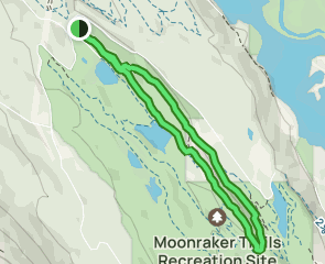 Arrowhead, Tonight Tequila, Tower Road, Bear Claw Trail: 28 Reviews ...