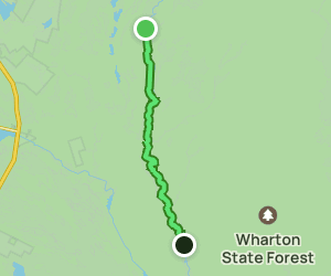 Batsto River : 11 Reviews, 105 Photos, Map - New Jersey | AllTrails