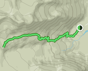Harding Icefield Trail, Alaska - 3,002 Reviews, Map | AllTrails