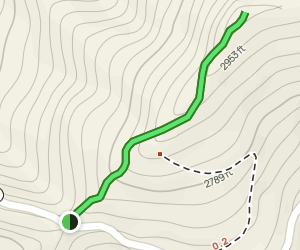 Mendota Firetower : 108 Reviews, Map - Virginia | AllTrails