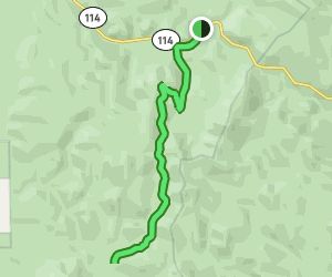 The Colorado Trail from Colorado Highway-114: 4 Reviews, Map - Colorado ...