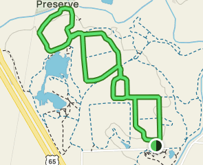 Red Tailed Hawk, Gray Fox, Barred Owl and Wild Turkey Loop, Iowa - 11 ...