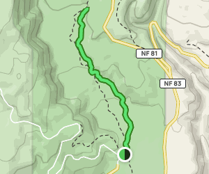 Ape Cave Trail: 1377 Reviews, Map - Washington | AllTrails