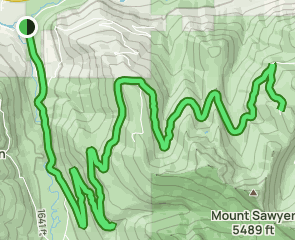 Tonga Ridge OHV Trail, Washington - 44 Reviews, Map | AllTrails