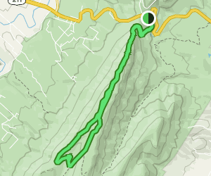 Bird Knob Trail: 505 Reviews, Map - Virginia | AllTrails