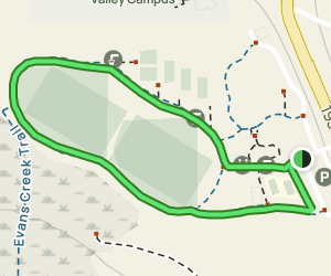 Perrigo Park Loop Path: 25 Reviews, Map - Washington | AllTrails