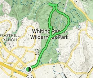 Dreaded Hill and Whiting Road Loop: 695 Reviews, Map - California ...