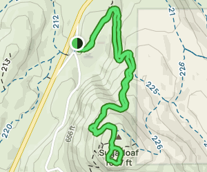 Sugarloaf Mountain Trail: 718 Reviews, Map - Washington | AllTrails