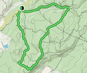 Ramapo Torne via Reeves, Meadow and 7-Hills Loop: 1053 Reviews, Map ...