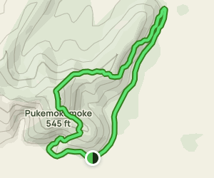 AllTrails | Pukemokemoke Bush Reserve Loop: 130 Reviews, Map - Waikato ...