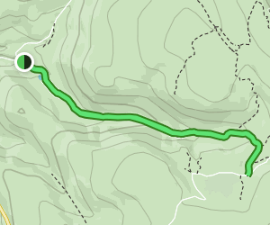 Soapstone Trail | Map, Guide - Utah | AllTrails