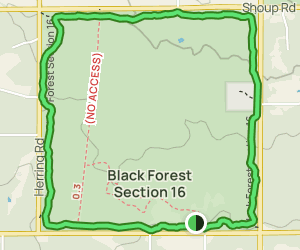 Black Forest Section 16 Loop: 1656 Reviews, Map - Colorado | AllTrails