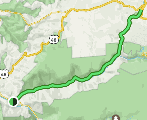 Blackwater Canyon Trail: 98 Reviews, Map - West Virginia | AllTrails