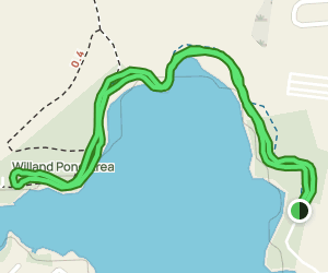 Willand Pond Trail: 400 Reviews, Map - New Hampshire | AllTrails