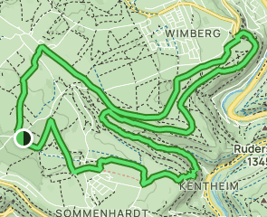 Premium Hiking Trail: Water, Forest and Meadow Trail, Baden-Württemberg ...