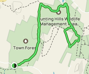 Town Forest and Hunting Hills Loop: 15 Reviews, Map - Massachusetts ...