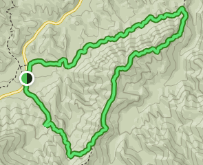 Lead Cove and Finley Cane Trail, Tennessee - 288 Reviews, Map | AllTrails