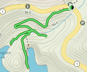 Partington Cove Trail: 1275 Reviews, Map - California | AllTrails
