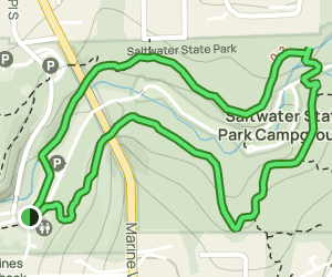 Saltwater State Park Loop: 517 Reviews, Map - Washington | AllTrails