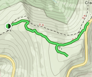 Craggy Gardens Trail: 2243 Reviews, Map - North Carolina | AllTrails