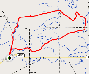 Croom Trail North Loop - Florida | AllTrails