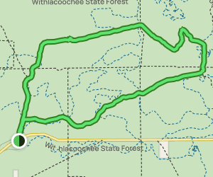Croom Trail North Loop - Florida | AllTrails