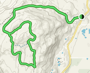 Turtleback Mountain Loop: 105 Reviews, Map - Washington | AllTrails