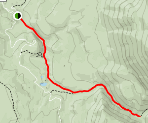 Temple Fork Sawmill Trail | Map, Guide - Utah | AllTrails