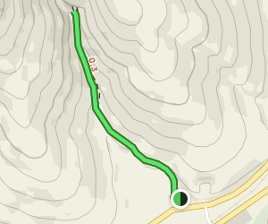 Stephens Gap Cave Trail [PRIVATE PROPERTY]: 313 Reviews, Map - Alabama ...