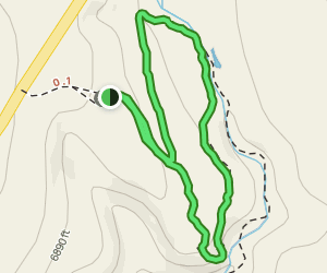 Griffith Spring Trail: 294 Reviews, Map - Arizona | AllTrails