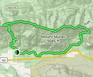 Mount Muller Trail: 126 Reviews, Map - Washington | AllTrails