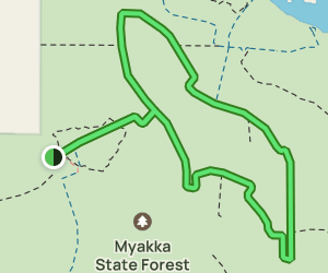 Myakka State Forest North Loop: 82 Reviews, Map - Florida | AllTrails
